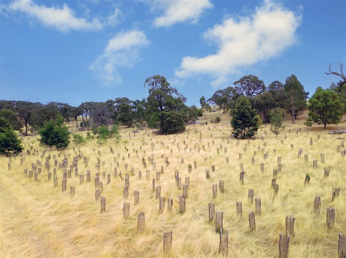 Back to nature in Quarry Hills | City of Whittlesea